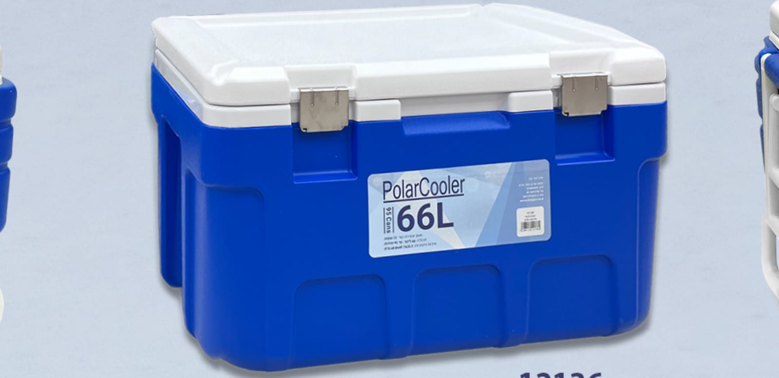 צידנית קשיחה Polar Cooler 66 ליטר | טרקומניה - ציוד טיולים
